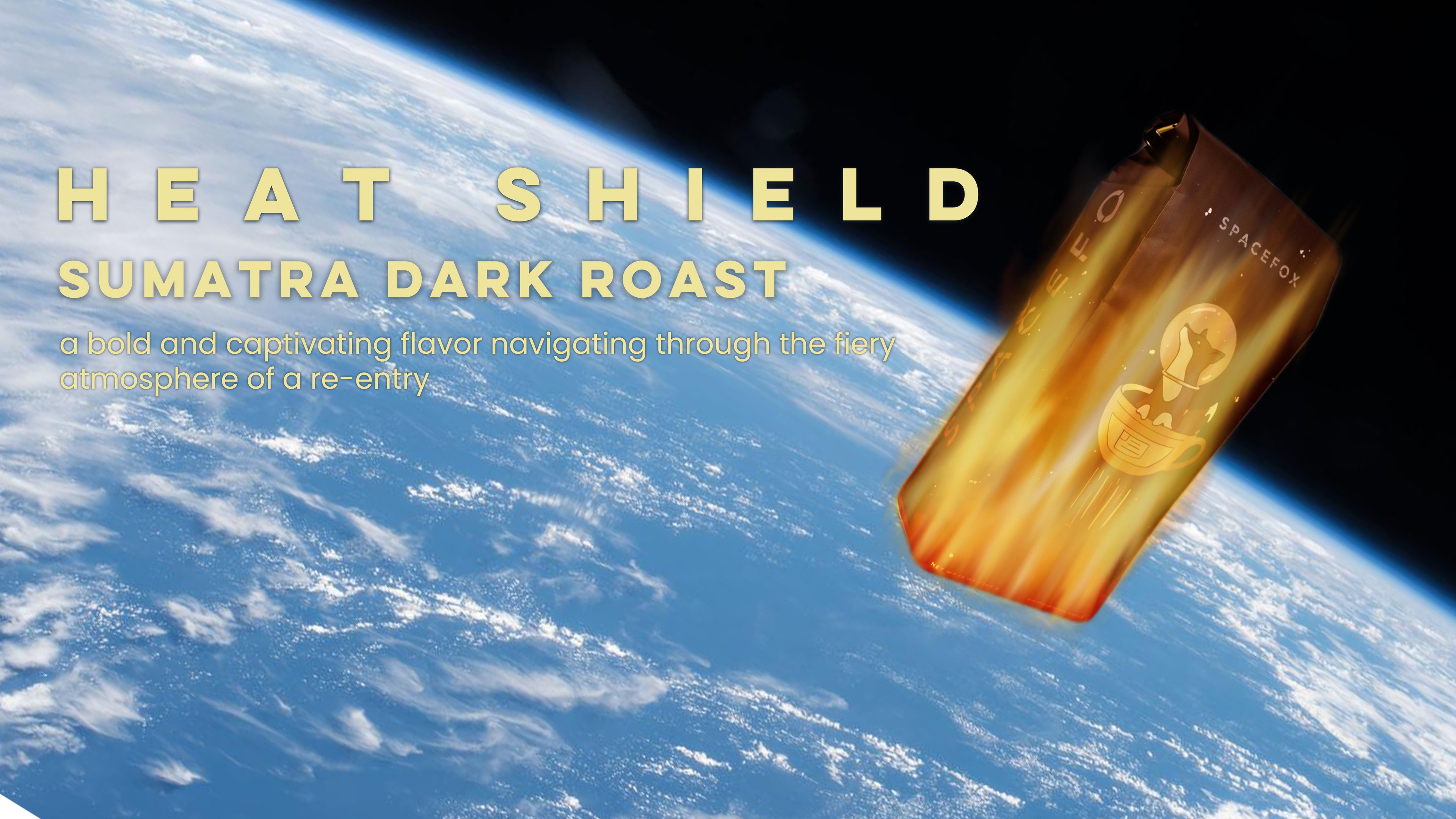 SpaceFox Coffee Company